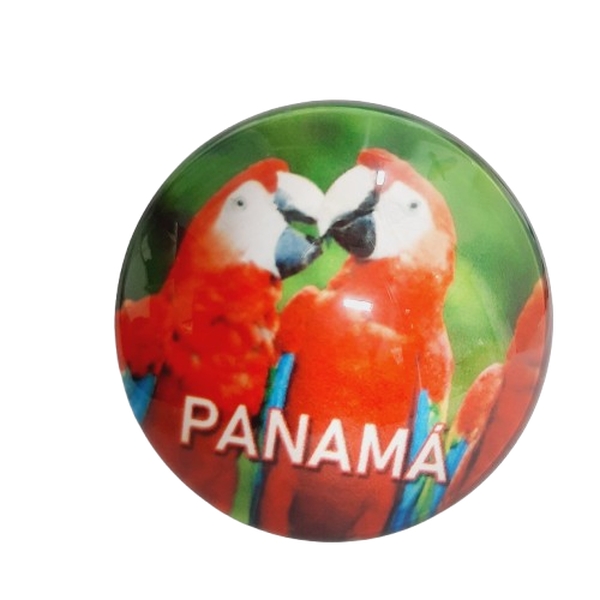 Iman Guacamaya Panama Redondo – Gran Morrison