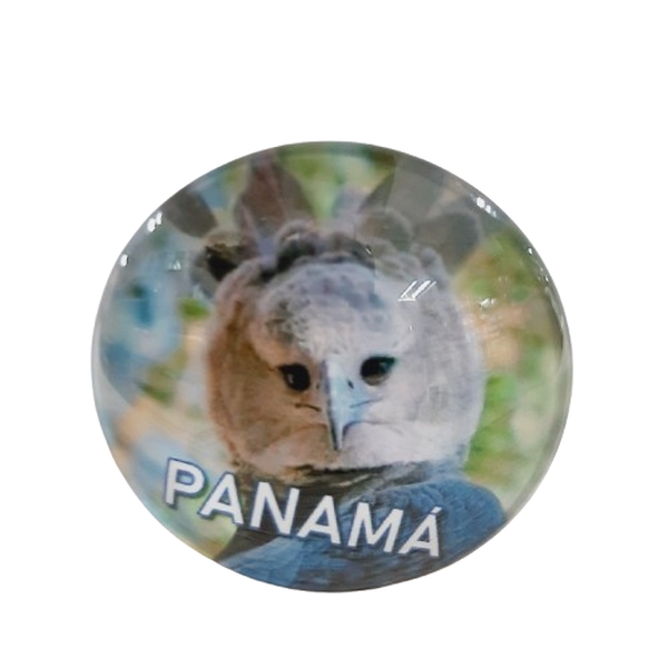 Iman Aguila Panama Redondo – Gran Morrison