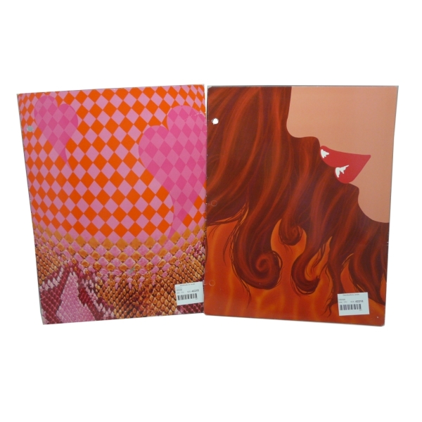 Cartapacio 2 bolsillos colores – Gran Morrison