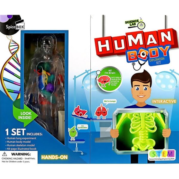Human Body – Science Lab – Gran Morrison