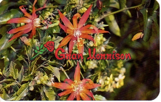 Postal The Red Pasion Flower – Gran Morrison