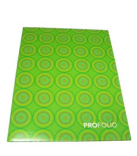 Cartapacio 2 Bolsillos 4 Surtido – Gran Morrison