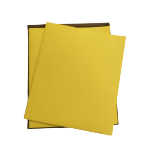 Cartapacio – Gran Morrison